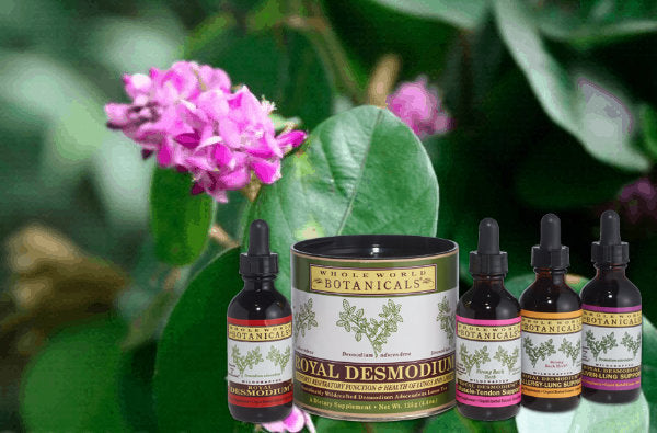 Royal Desmodium™ - Whole World Botanicals